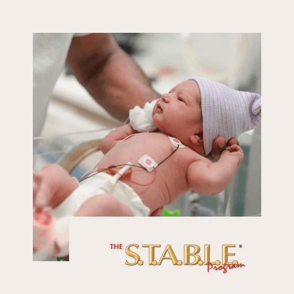 The S.T.A.B.L.E. Program Online 7th Ed. Includes Foundations